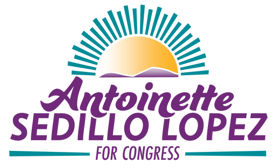 Our Campaigns - NM District 01 - Special D Convention Race - Mar 30, 2021