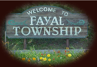 Our Campaigns - United States - Minnesota - MN Counties - St. Louis ...